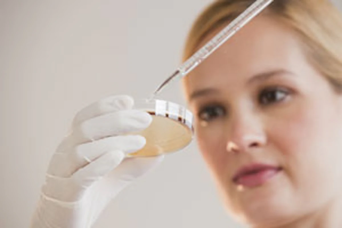 Human Stem Cell-created Skin Layer Could Replace Animal Testing | Skin Inc.
