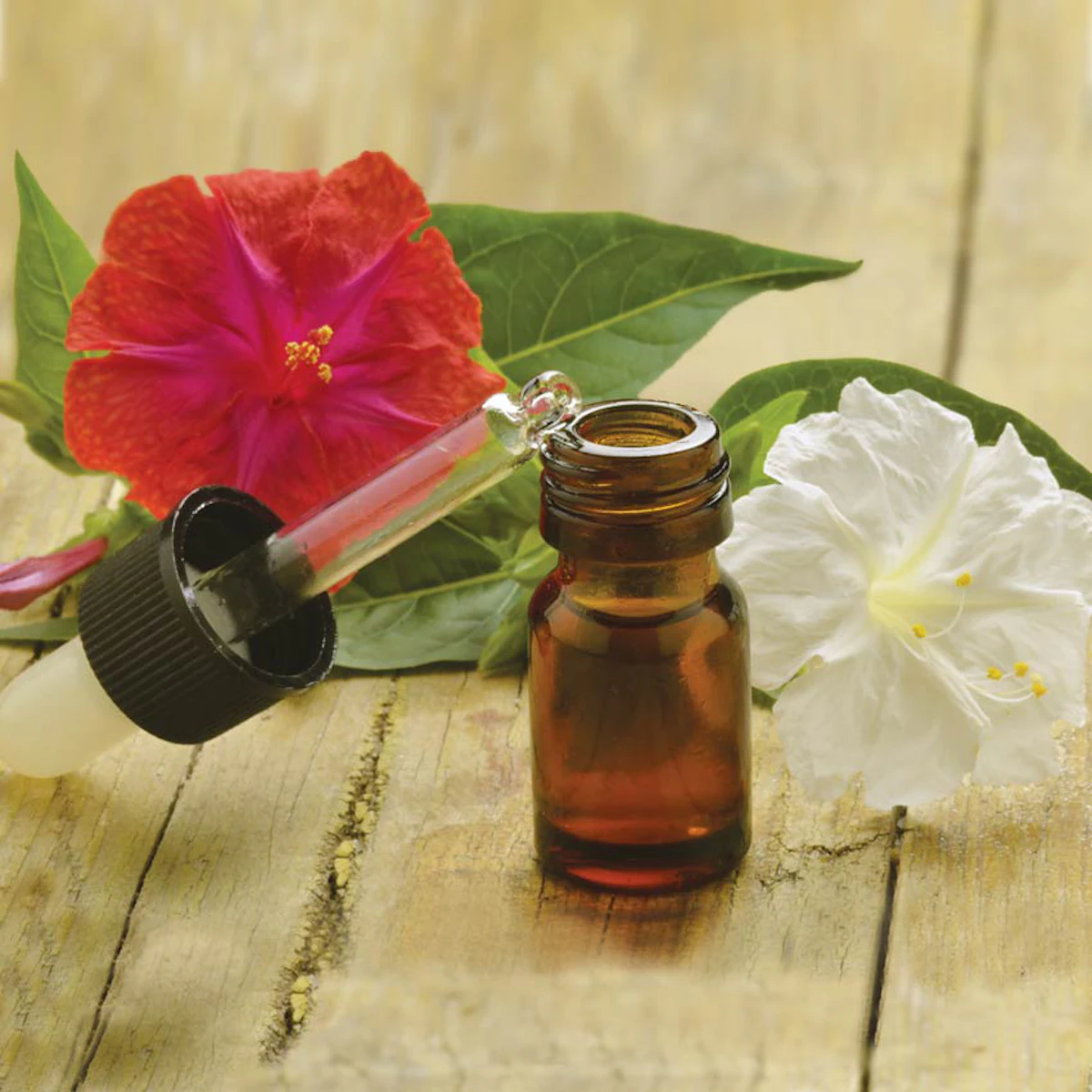 Natural Anti-inflammatory Ingredients | Skin Inc.