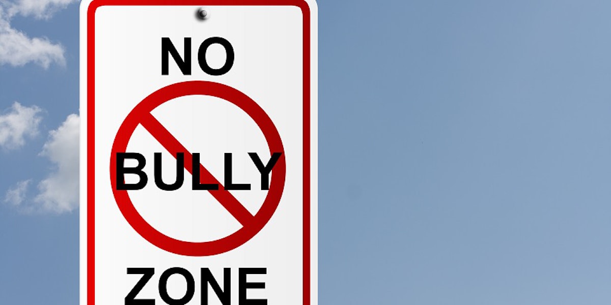 5 Types of Bullies and How Owners Should Handle Them | Skin Inc.