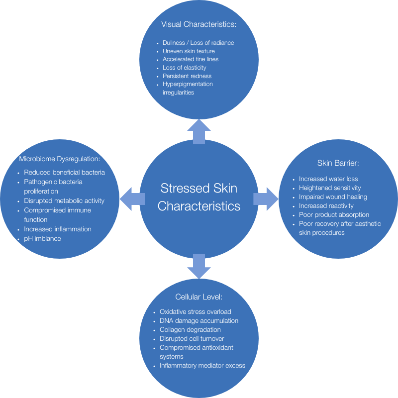 The Stress-Skin Connection | Skin Inc.